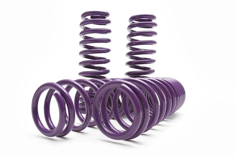 D2 Pro Series Lowering Springs | FastScions